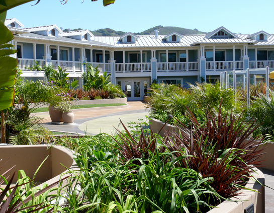 Avila Lighthouse Suites - Oasis Associates, Inc.